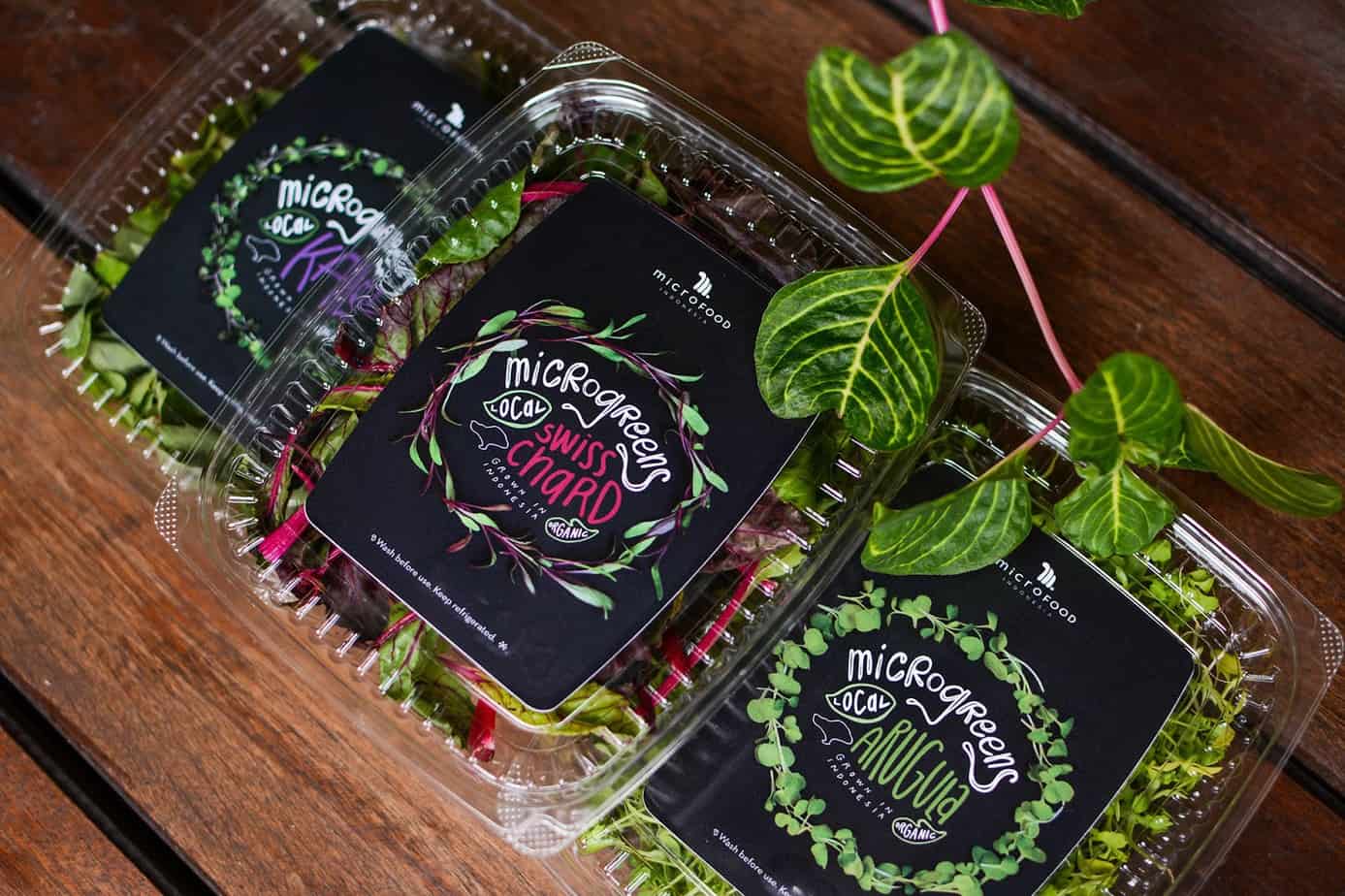 How To Start A Microgreens Business – A detailed review - Gardening Heavn